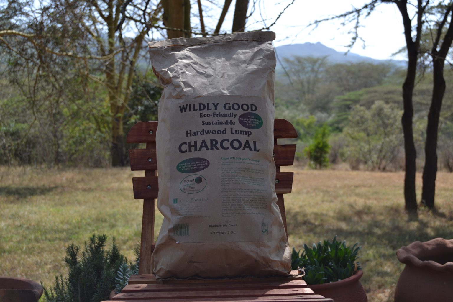 Home - African Forest