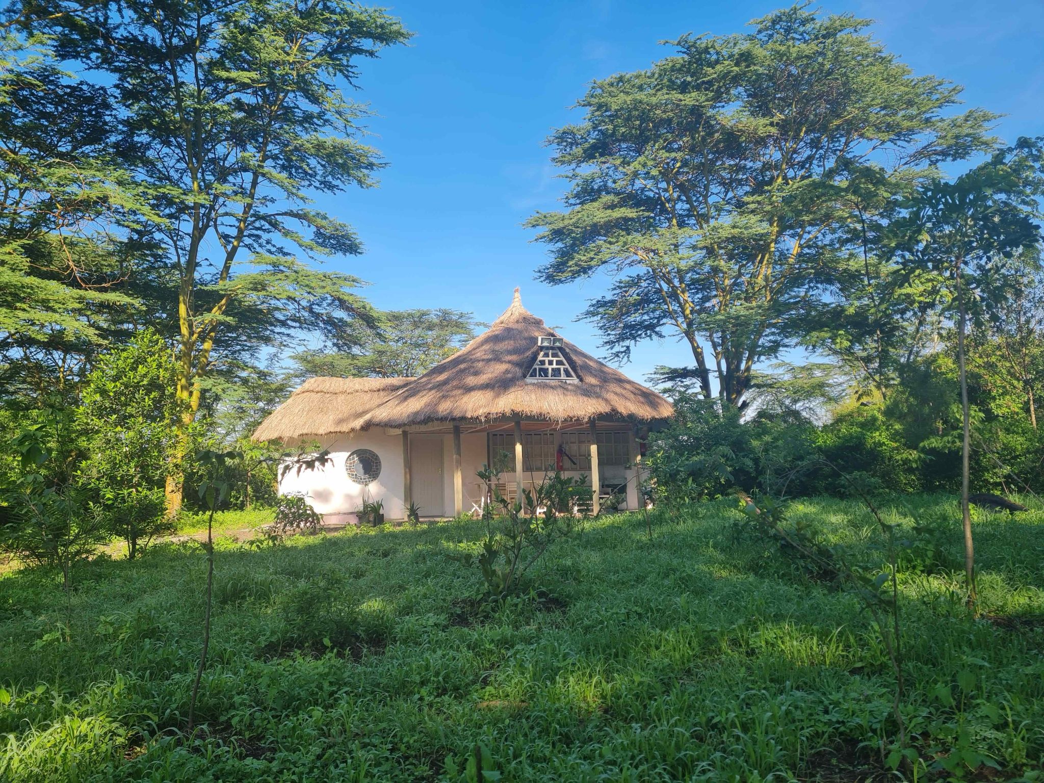 Forest Cottage – African Forest